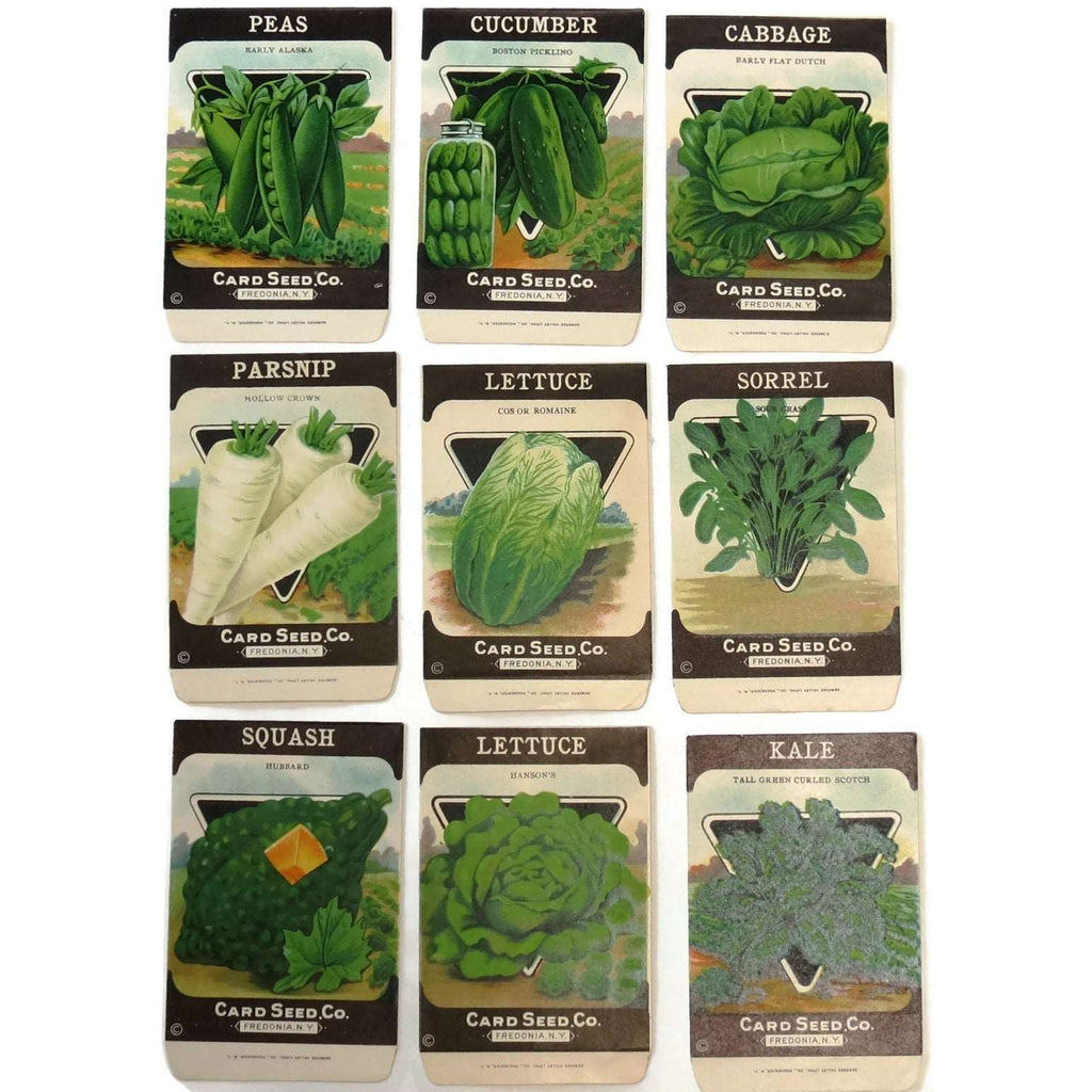 Lot of 9 different seed packets from the Card Seed Co. Fredonia NY ...